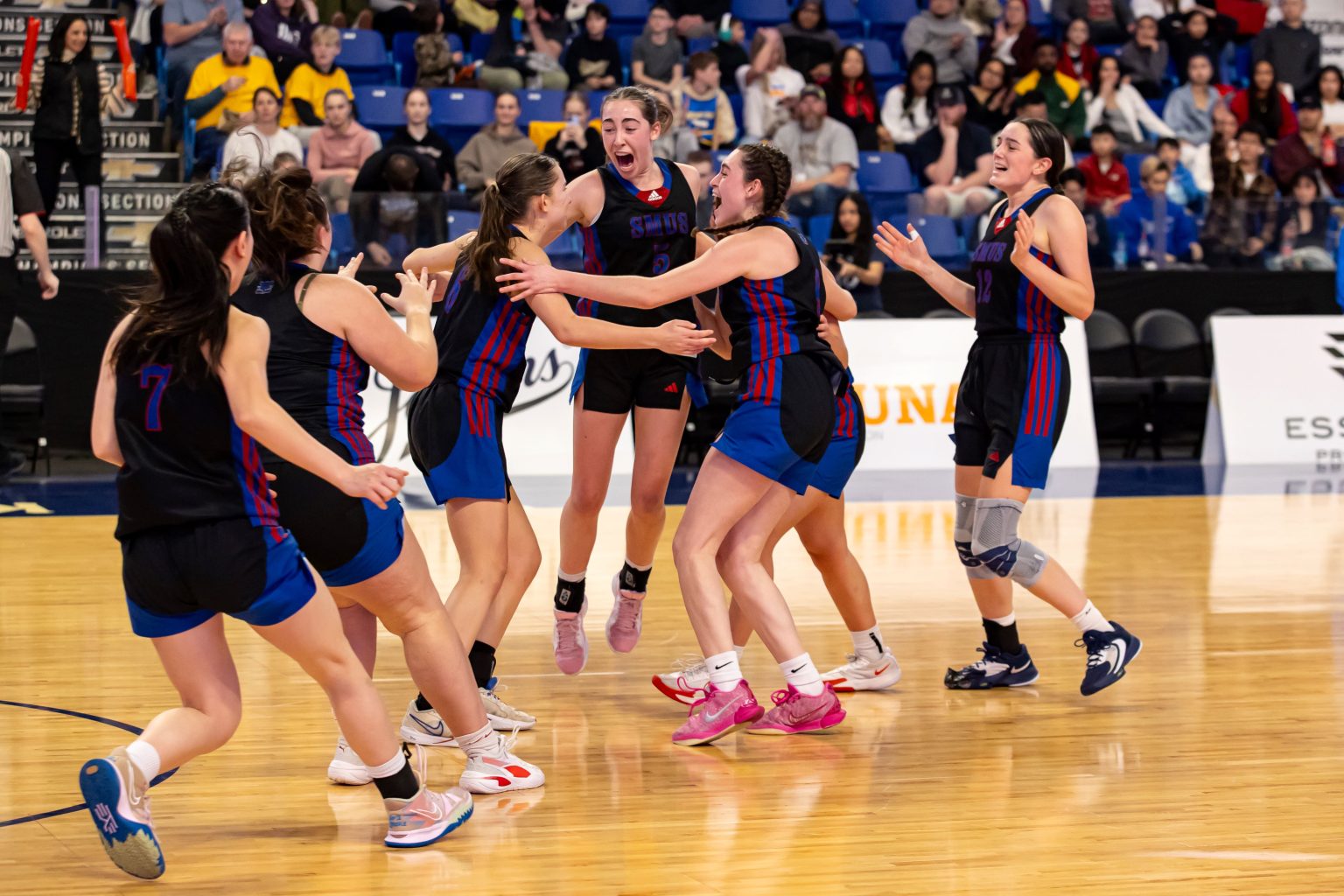 Seeding Announced For 2026 BC School Sports Girls Basketball Provincial ...